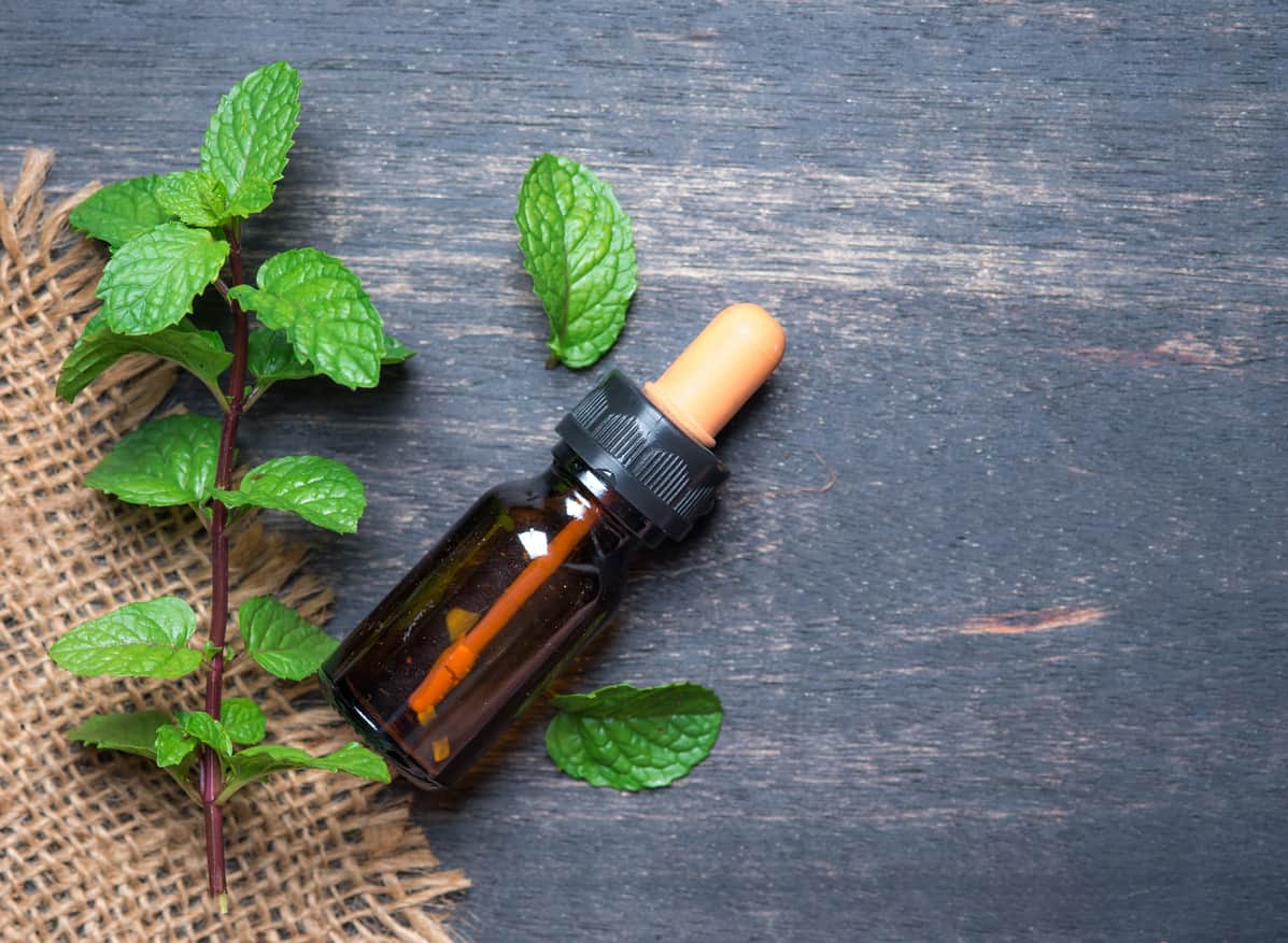 How To Make A Peppermint Foot Scrub! | A Green Beauty Blog