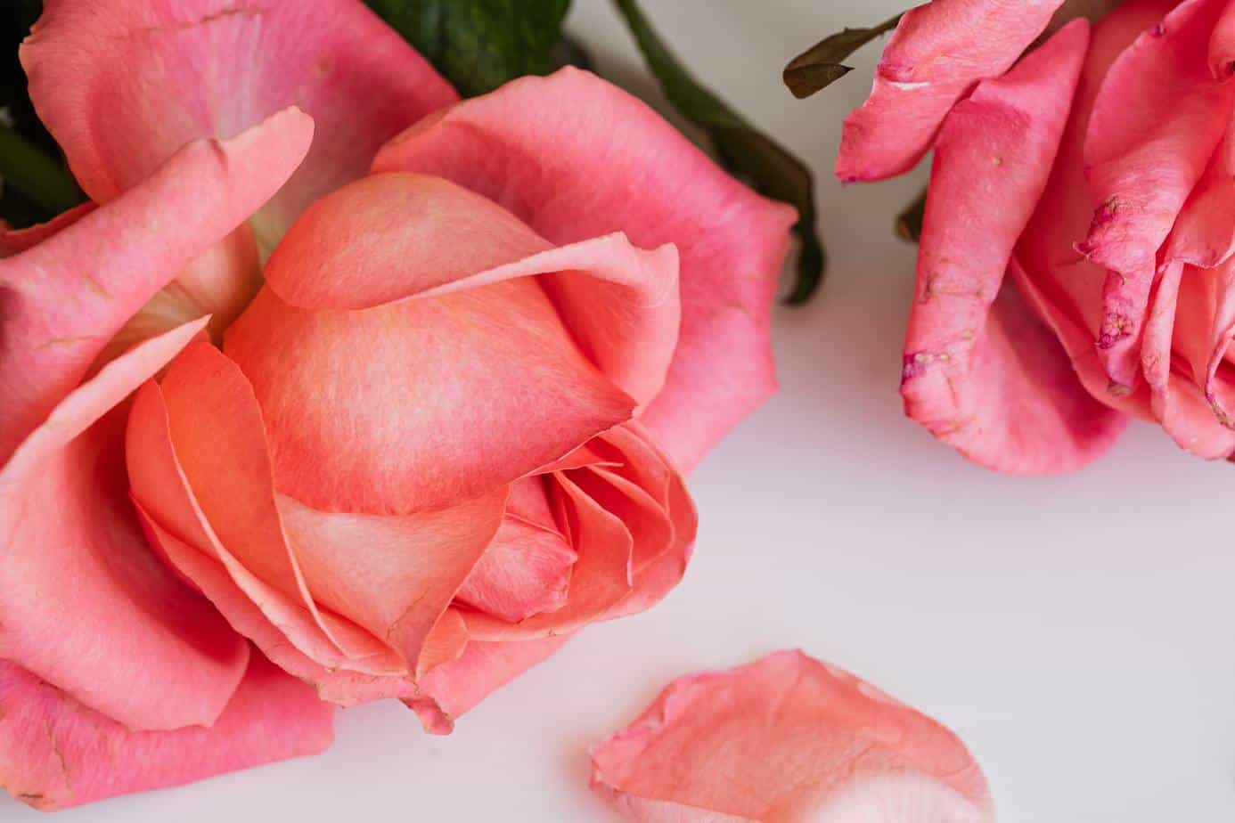 10 Ways To Follow Cleopatra’s Natural Egyptian Beauty Routine. | A ...