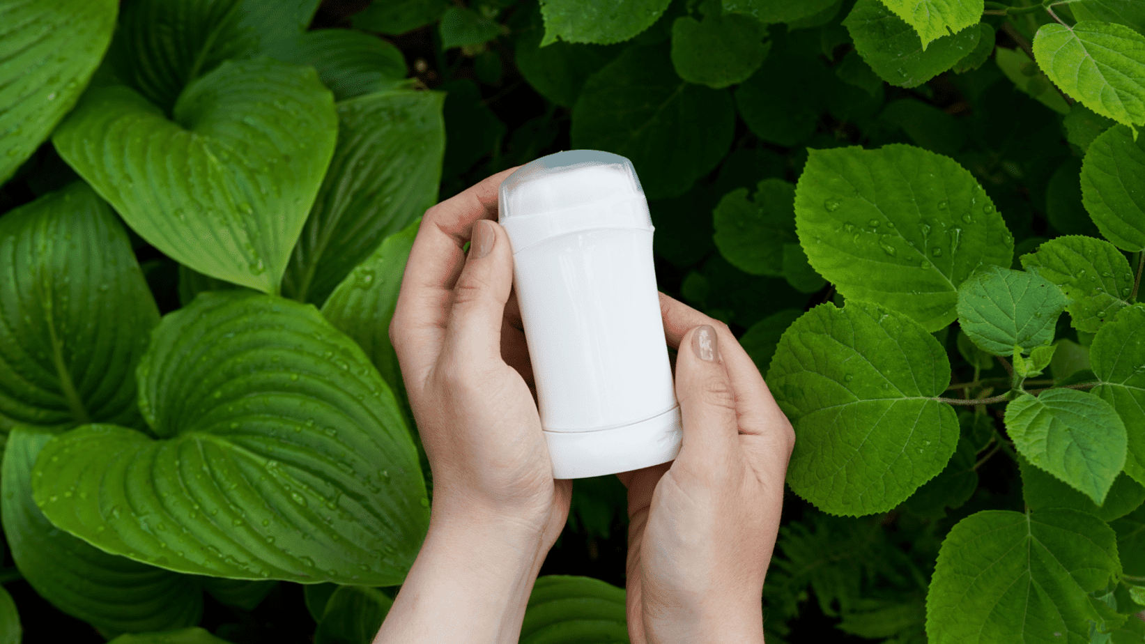 How To Get Natural Deodorants To Work? | A Green Beauty Blog