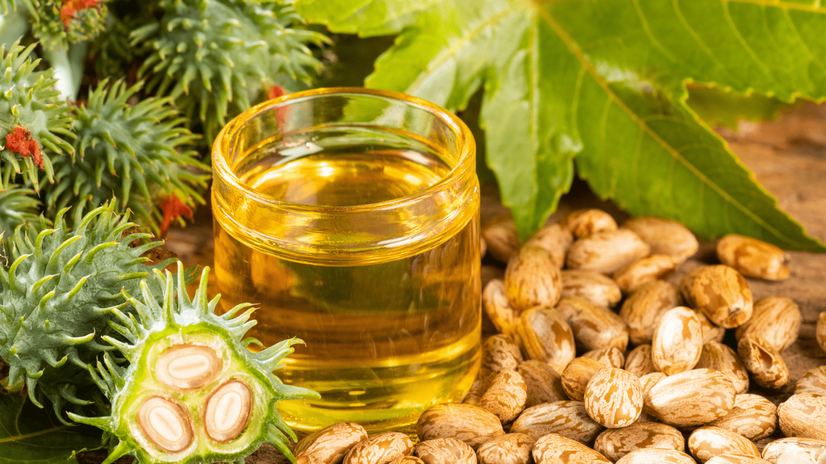 How To Use Castor Oil For Skin And Hair? | A Green Beauty Blog