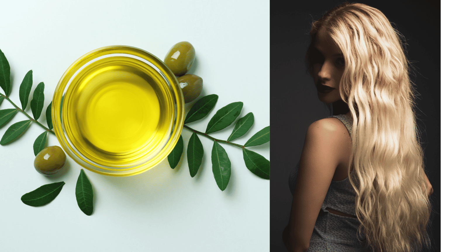 The Best Ways To Use Olive Oil for Hair Growth! | A Green Beauty Blog