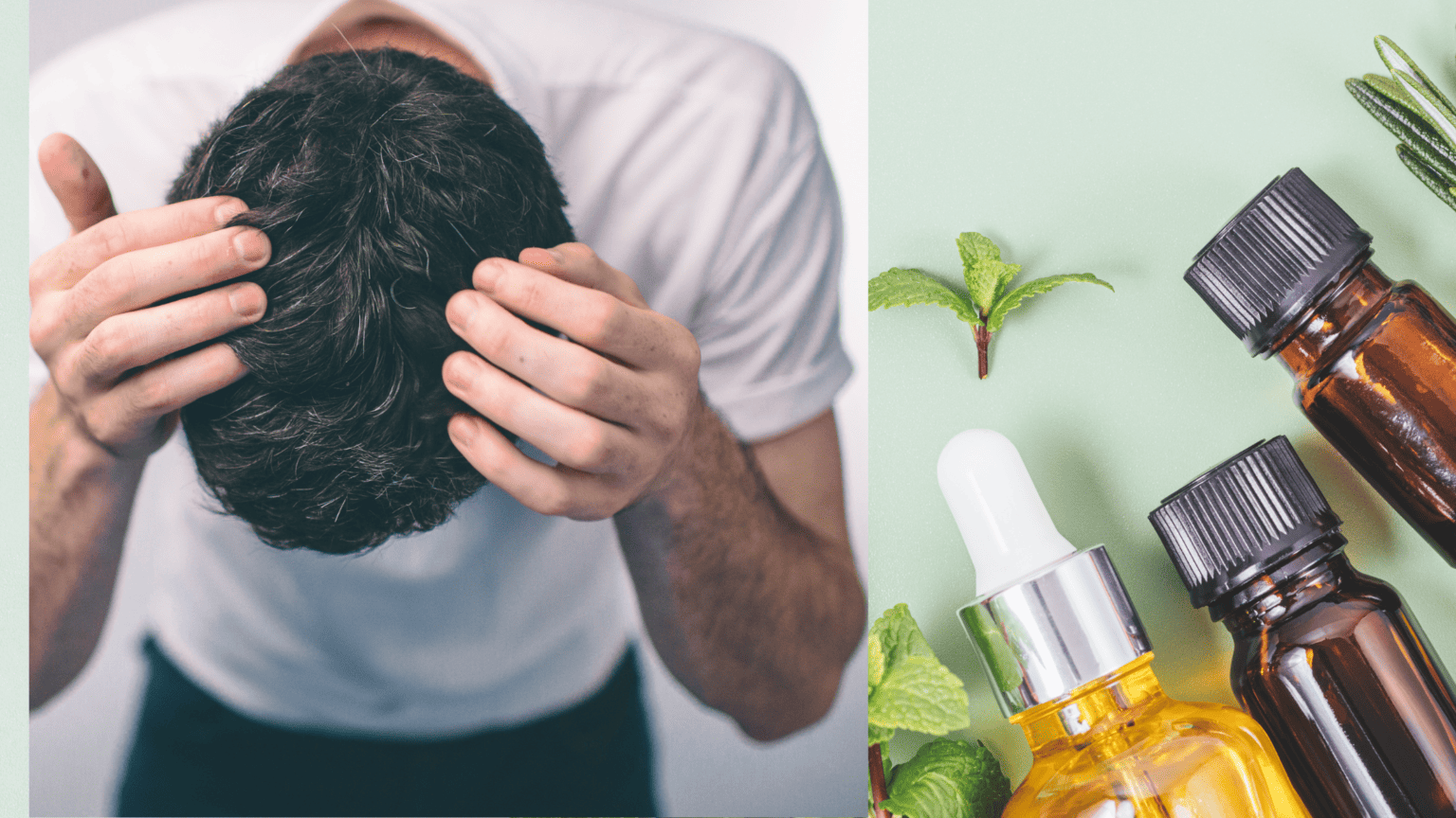 How To Make A Restorative Hair Oil Treatment! | A Green Beauty Blog